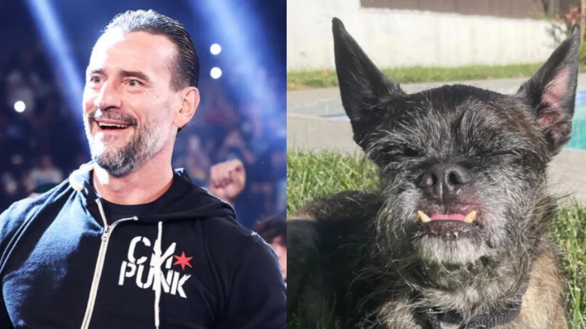 CM Punk e AJ Lee anunciam morte de Larry, cachorro popular na WWE